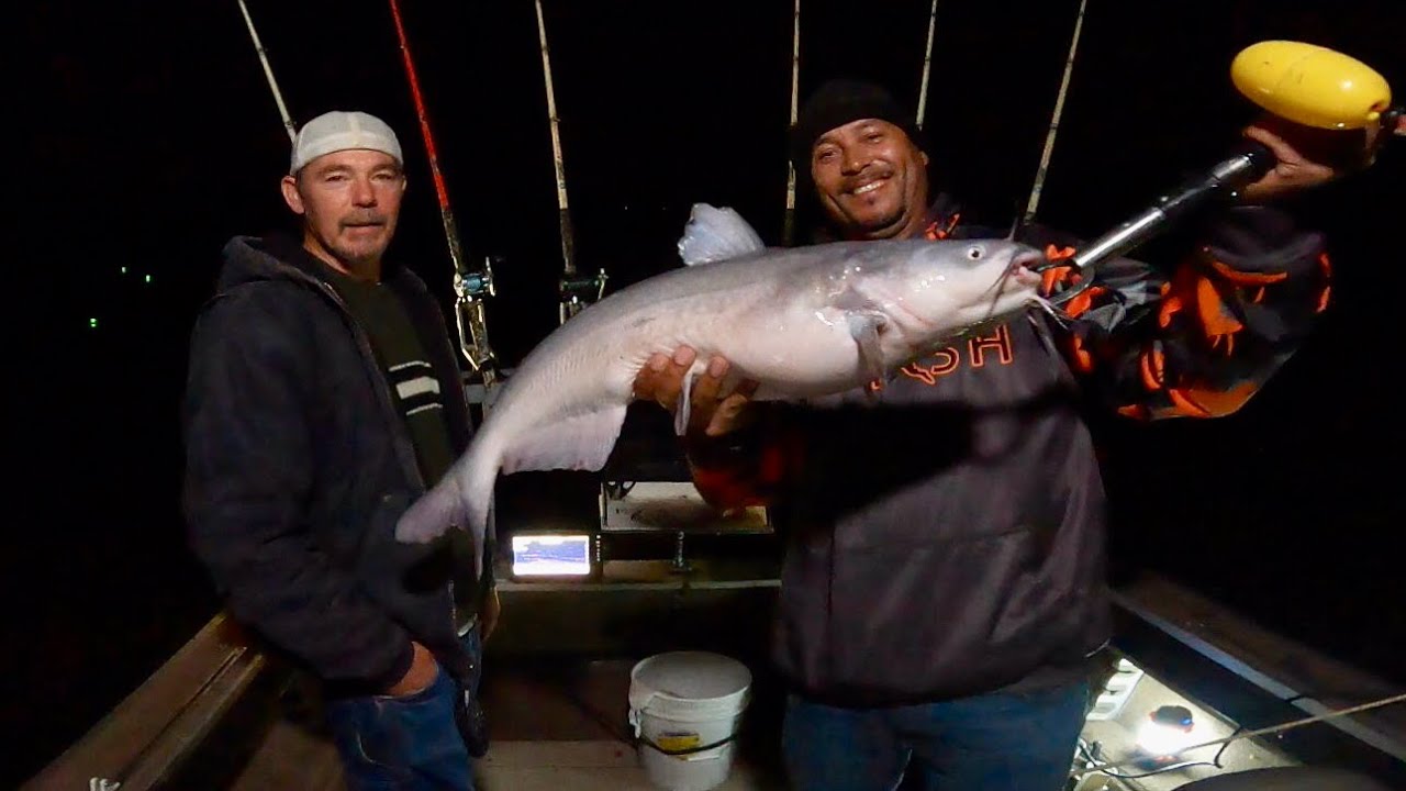 Chasing Blue Catfish In The Dark - YouTube