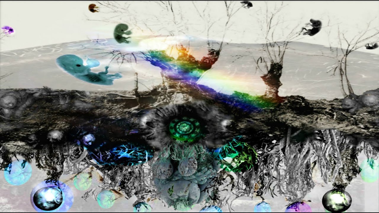 DOPAMINE LARVAE - "Spirit Receiver" - YouTube