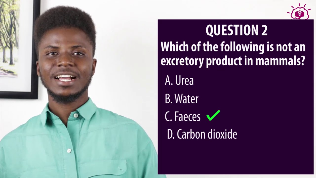 3 Solution to Past Question (Biology Tutorial for WASSCE ) - YouTube