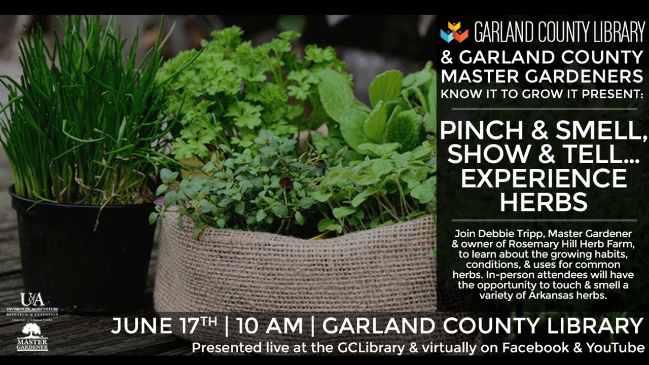 Know It to Grow It: Pinch and Smell, Show and Tell… Experience Herbs ...