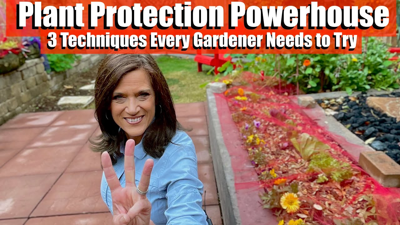 Plant Protection Powerhouse: 3 Techniques Every Gardener Needs to Try ...
