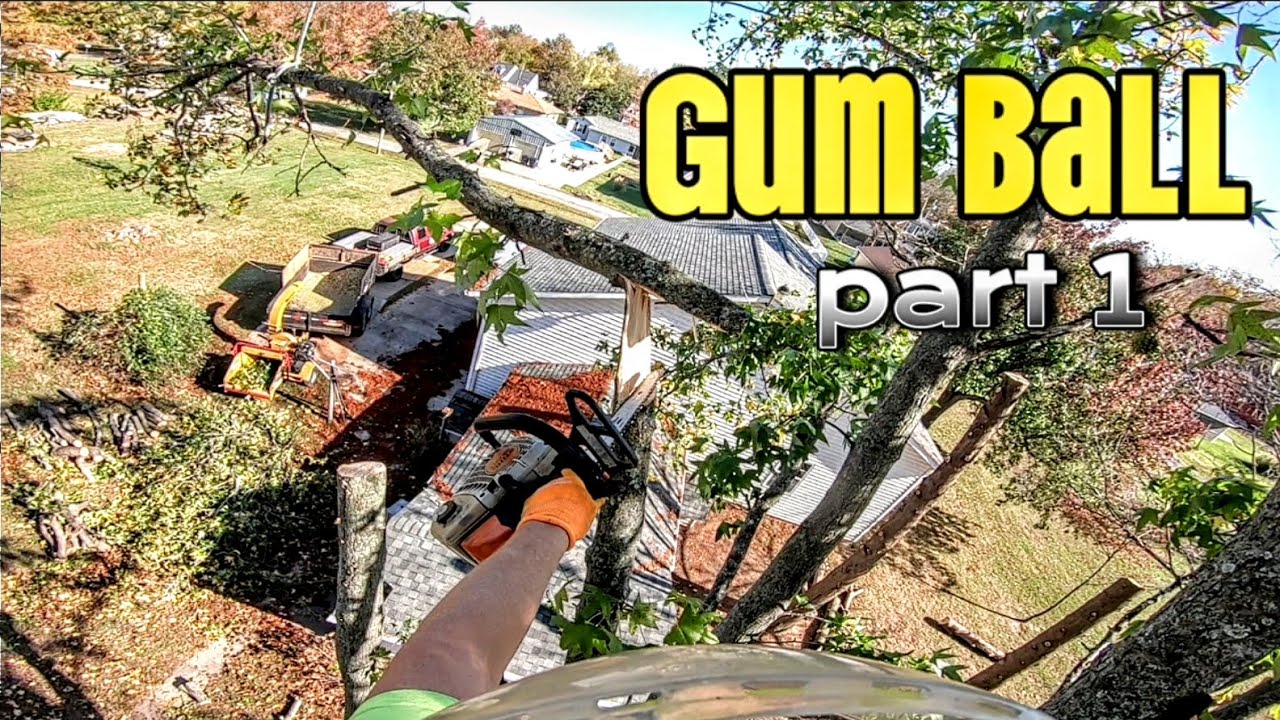 Tricky Tree Removal in a Tight Spot! - YouTube