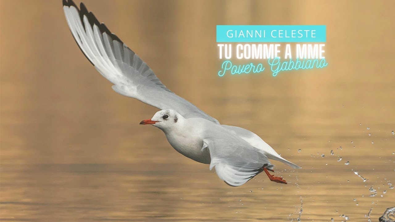 Gianni Celeste - Tu Comme a Mme - Povero Gabbiano (Official Video 2022 ...
