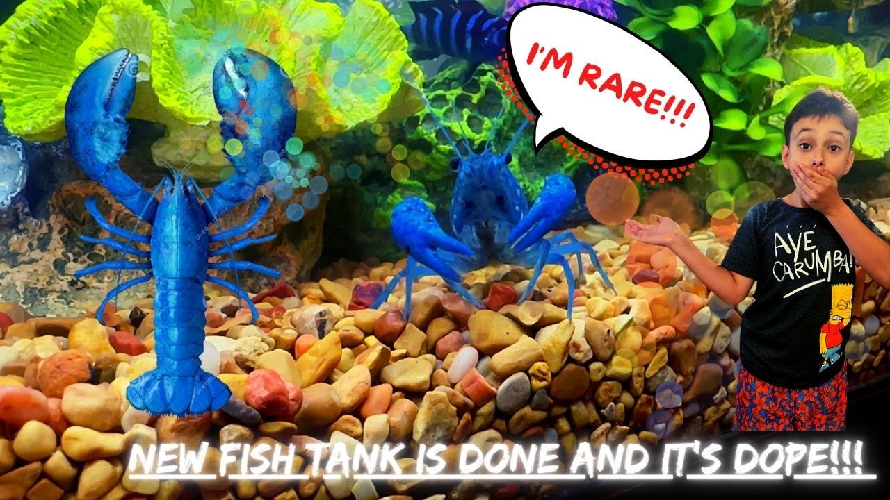 [DOPE] AMAZING, COLORFUL - OUR NEW FISH TANK IS DONE! - YouTube