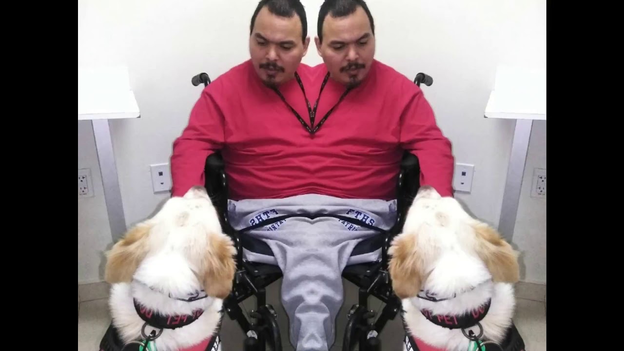 Funny pictures of my service dog and me - YouTube