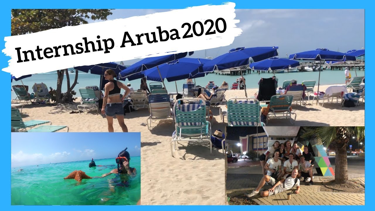SCHILDPADDEN OP BEELD! Internship Aruba - week 2 - YouTube
