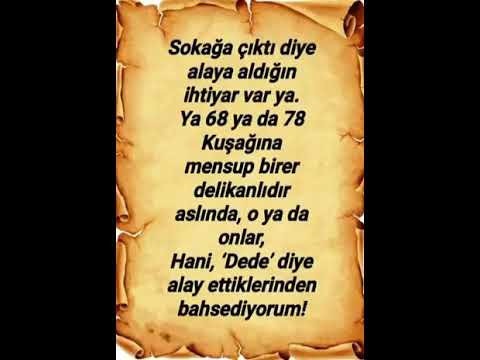 Bak delikanlı