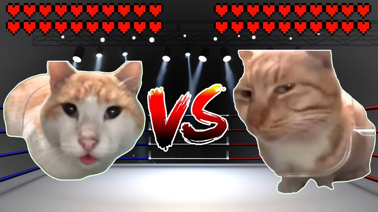 Mr. Fresh vs Side Eye Cat! Meme battle - YouTube