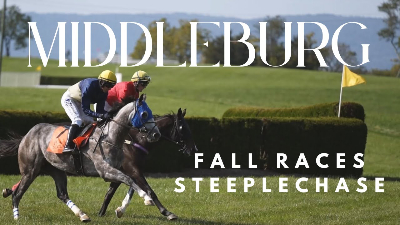 Attending Middleburg Fall Races | Bringing the Kids to the Steeplechase ...