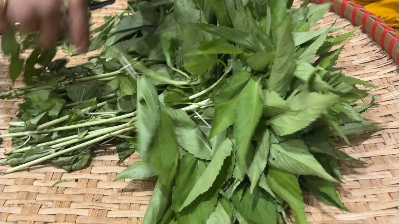 Jute leaves/ Pata Saag/ pata sakh seasonal veggies . - YouTube