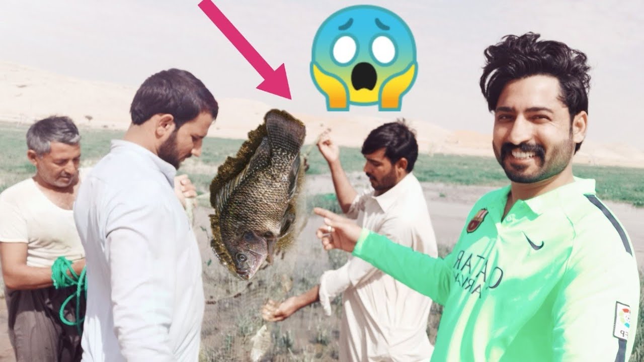 Saudi_arabia🇸🇦 fish in lovely water awesome 😍🐟🐟 - YouTube