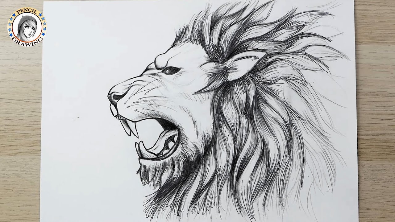 how to draw | tutorials drawing | How to Draw a Lion | how to draw ...