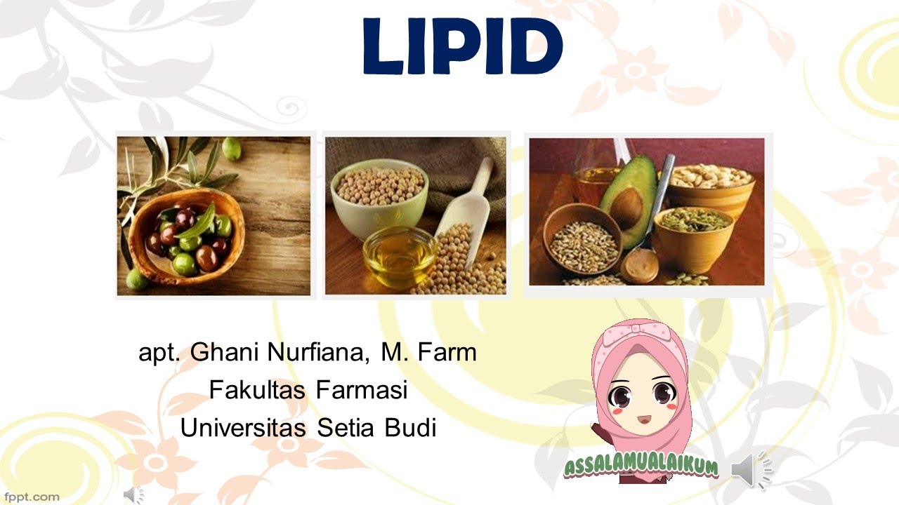 LIPID DAN DERIVATNYA | #UNIVERSITASSETIABUDI - YouTube