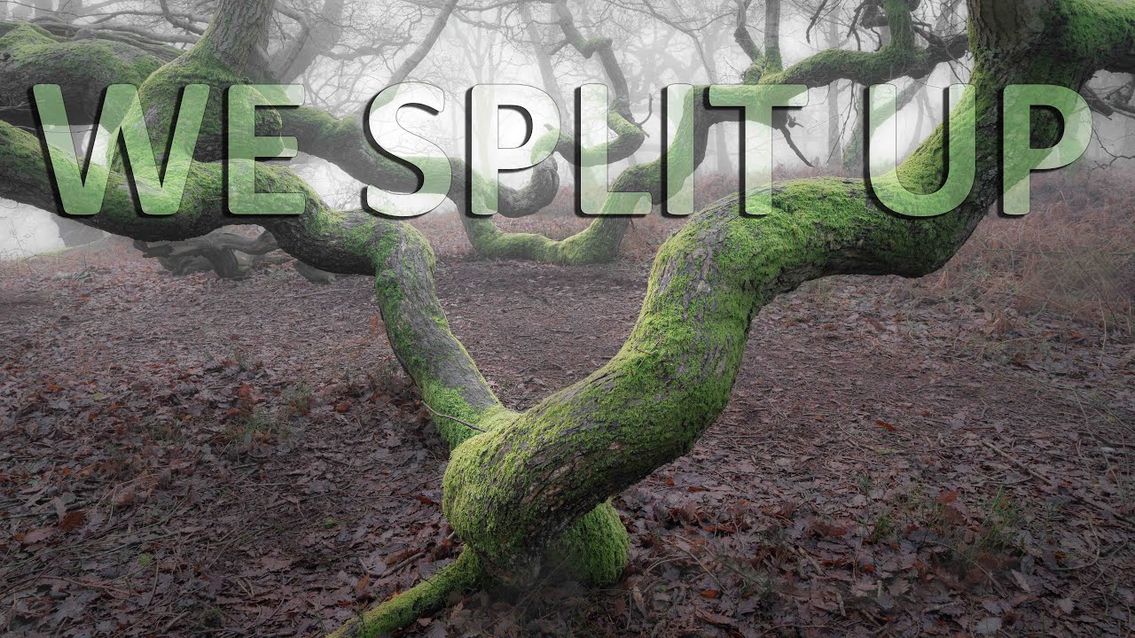 WE SPLIT UP, Find out why - Landscape Photography - Woodland ...