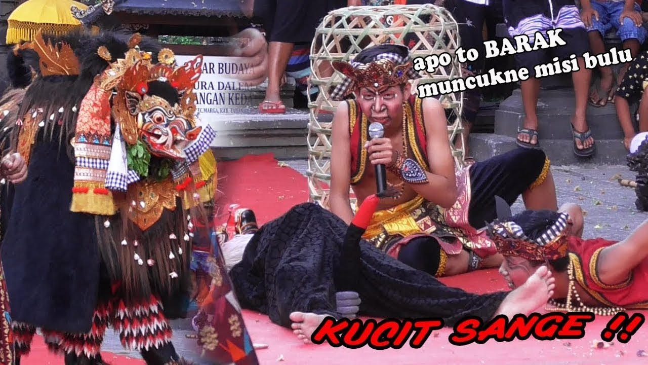 Ngelawang Barong Bangkung misi Ngejuk Kucit Selem - YouTube