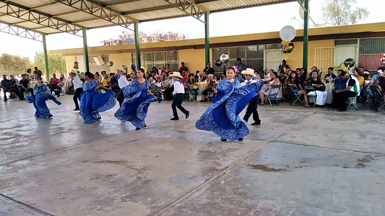 Bailable el toro mambo, el sauce y la palma - YouTube