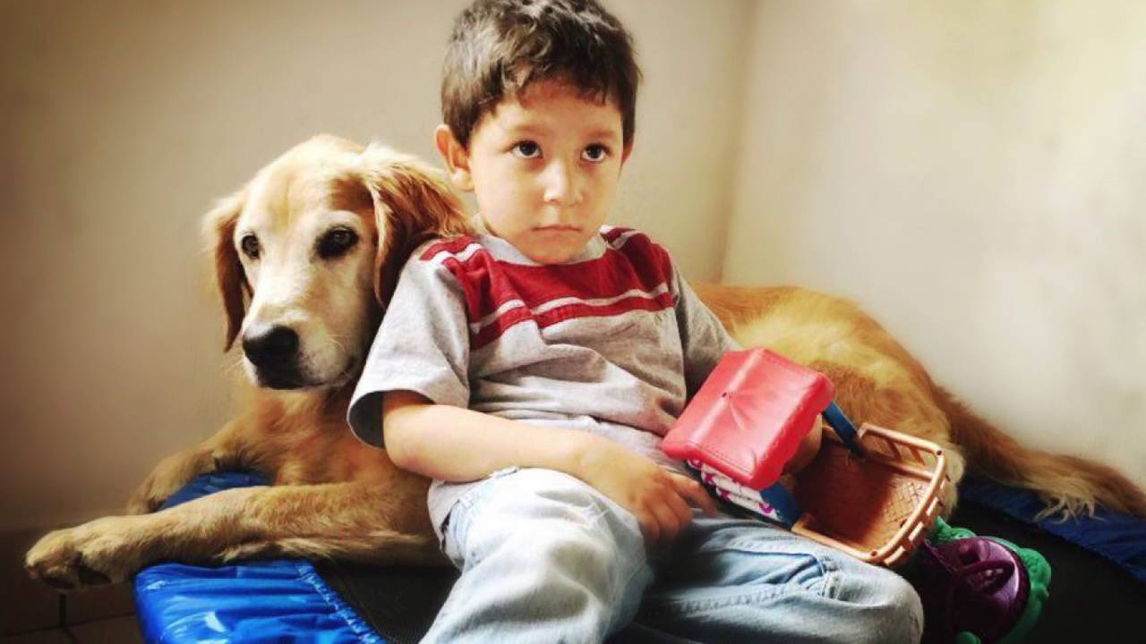 Programa de Terapia Asistida con Animales y Autismo 2016 - YouTube