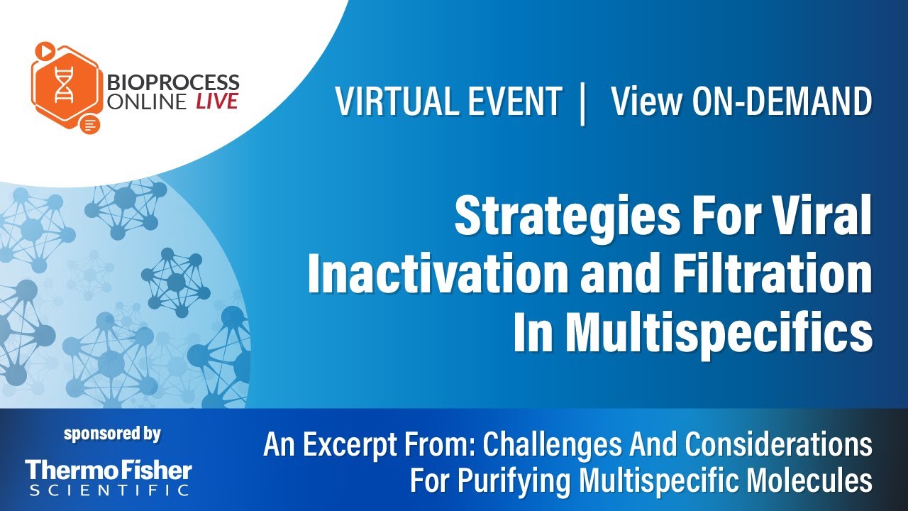 Strategies For Viral Inactivation and Filtration In Multispecifics ...