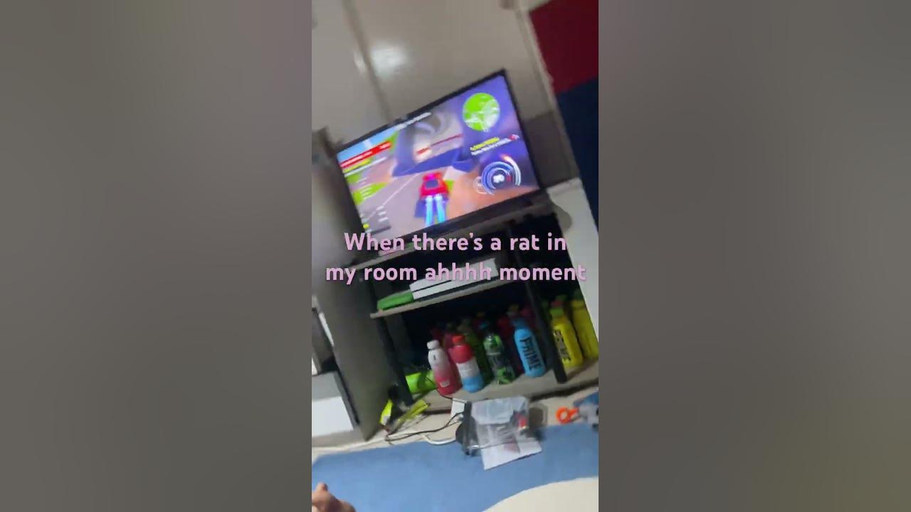 7 December 2024 - YouTube