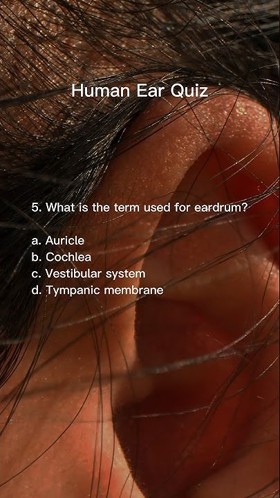 Human Ear Quiz #quiz #science #anatomy #education - YouTube
