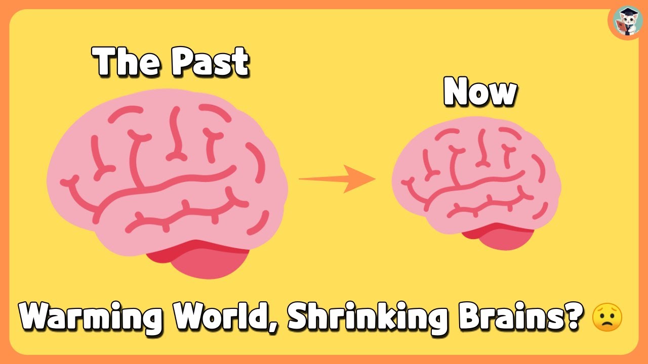 Human Brains Getting Smaller? | Climate Change's Bizarre Effect - YouTube