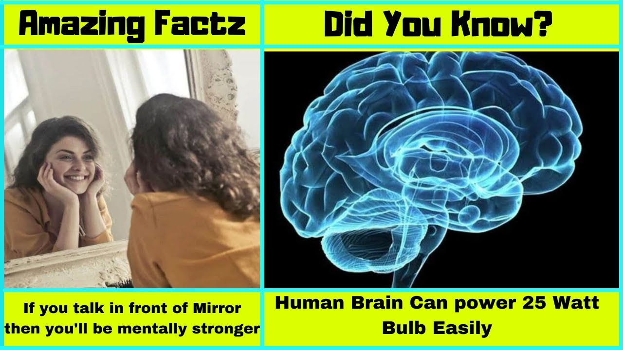 Amazing Facts You Should Know🔥#84 | Did You Know? Random Facts ...