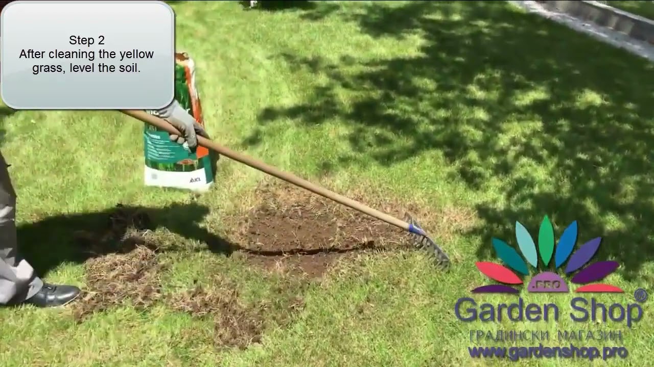 How to Revive a Lawn After Scarifying