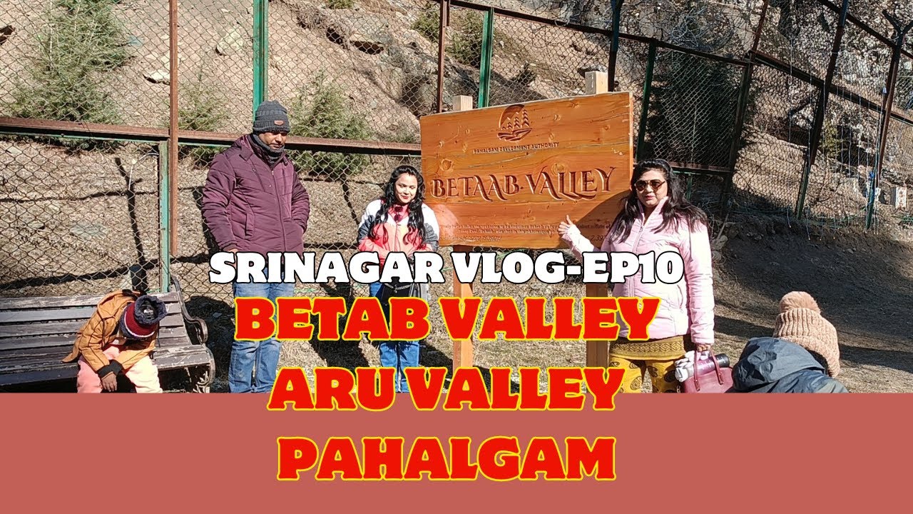 SRINANAGR VLOG 10 BETAB VALLEY ARU VALLEY PAHALGAM - YouTube