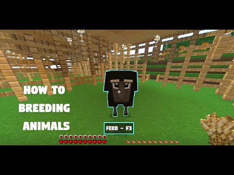 how to breeding animals in l planet of cube l easy to breeding animals ...