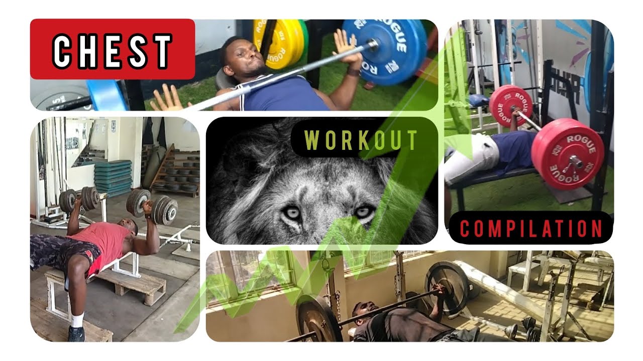 FULL CHEST WORKOUT FOR BEGINNERS - YouTube