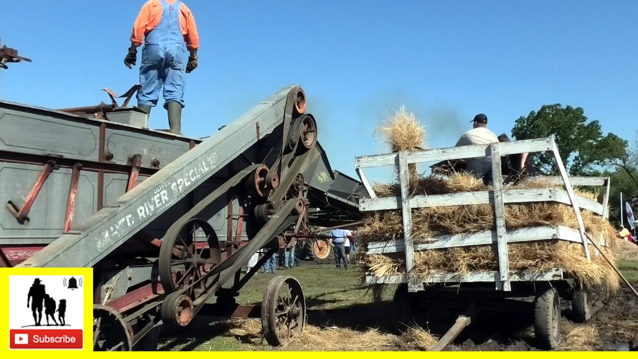 Steam Threshed Wheat - Oklahoma Steam & Gas Engine Show - YouTube