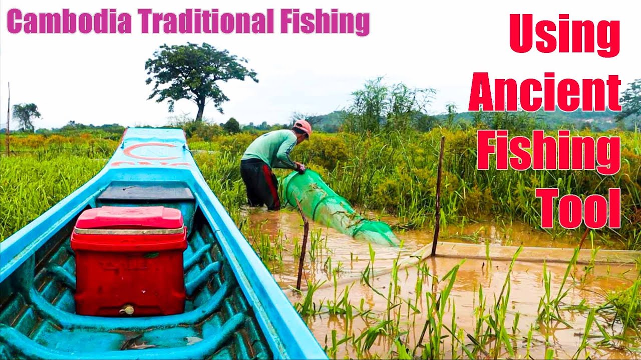 Cambodia Traditional Fishing: Using Ancient Fishing Tool [ Khmer ...