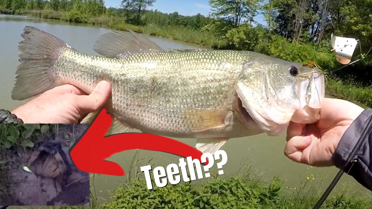SNAGGED something I wasn't SUPPOSED TO SEE - YouTube
