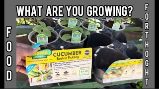 What Plants Are @lowes | High Price of Vegetable Starts | Garden Vlog