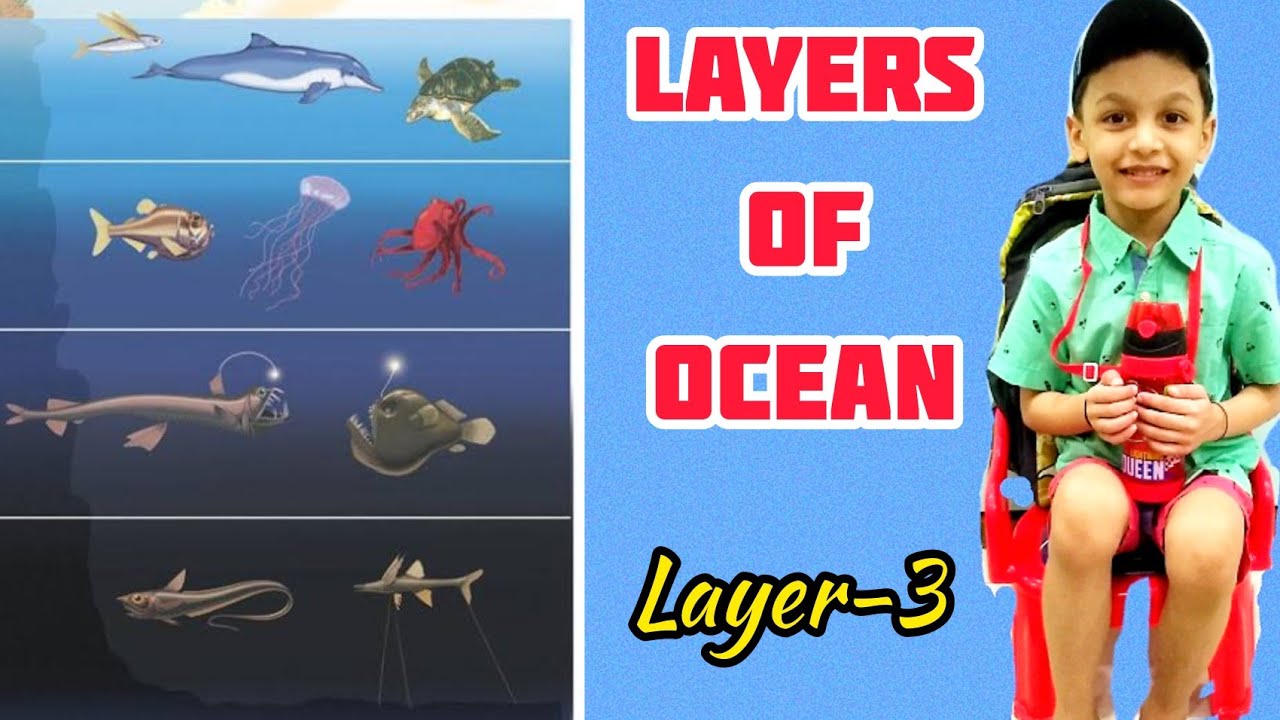 Ocean Zones |Ocean Layers |Sea Zone/Layers |Layer 3 | Midnight Zone ...