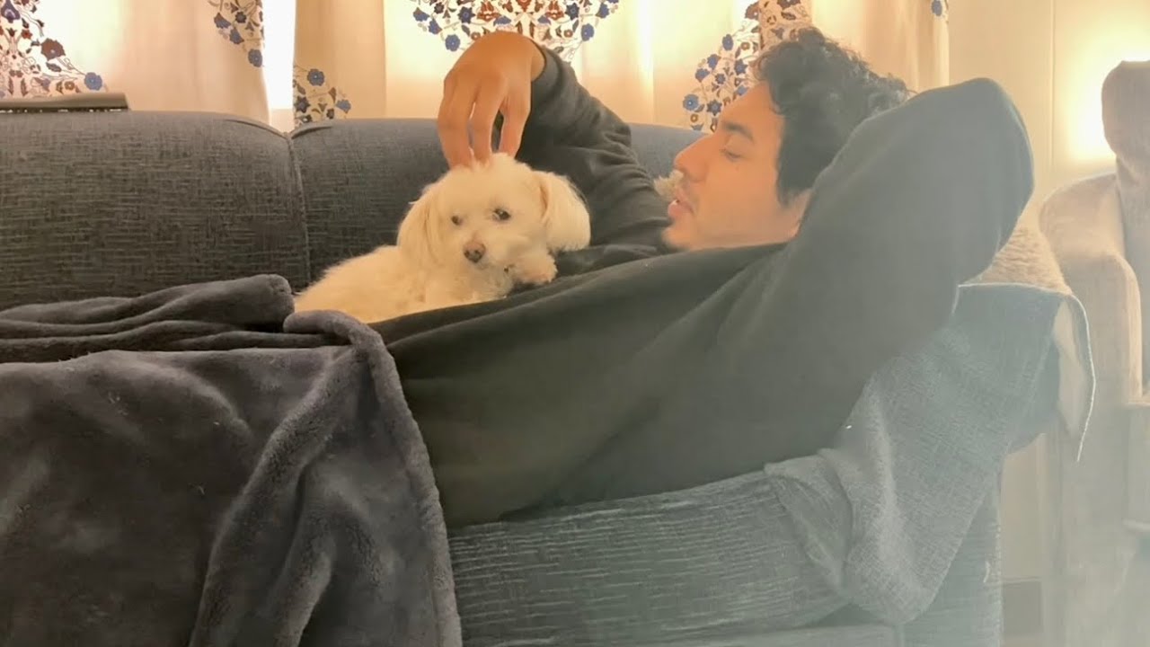 My dog Yuki! - YouTube