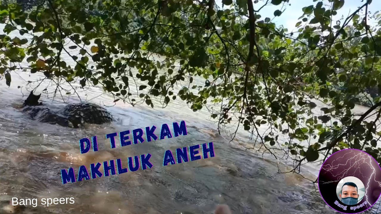 RAWA-RAWA PENUH MISTERI - YouTube