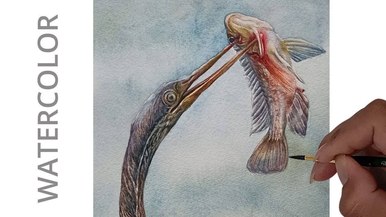 Watercolor painting of bird catching fish | easy watercolor painting ...