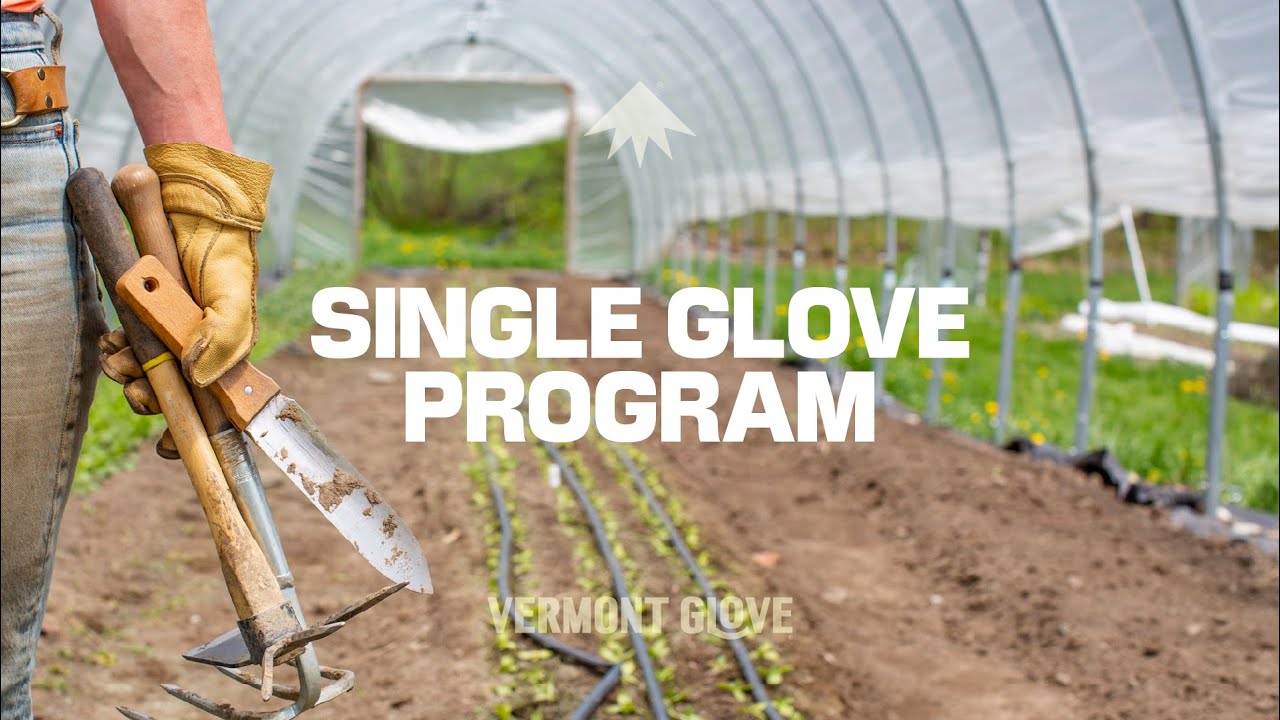 Single Glove Program - YouTube