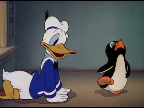 Donald Duck - Donald's Penguin - YouTube