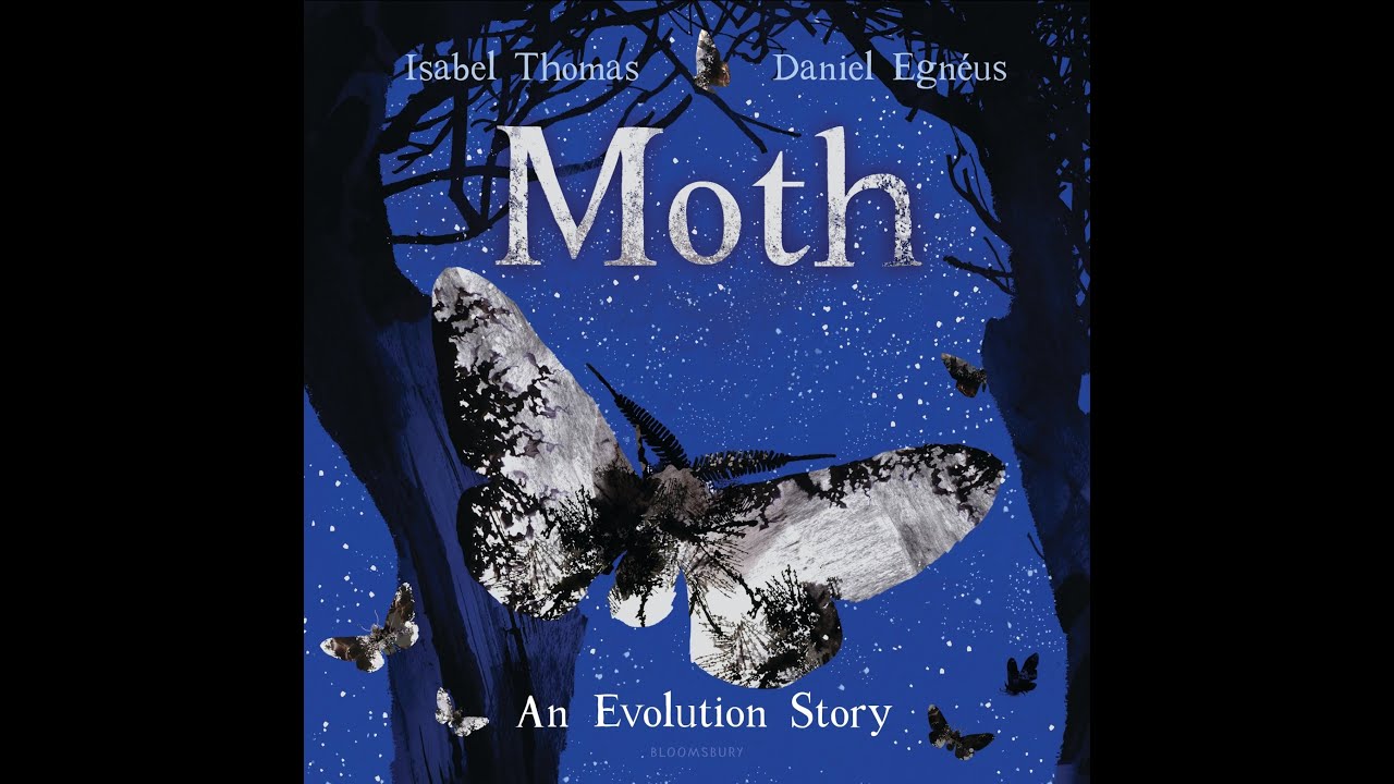 Moth: An Evolution Story - YouTube