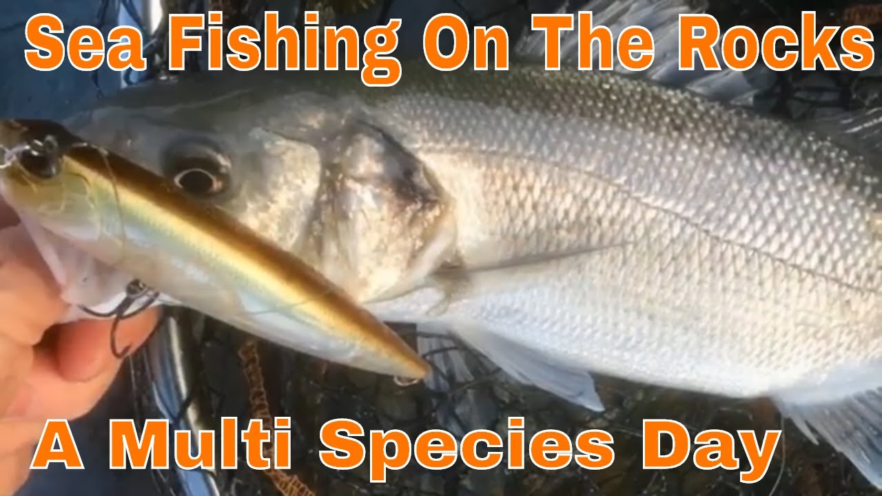 Sea fishing on the rocks- a multi species day. Summer 2019 - YouTube