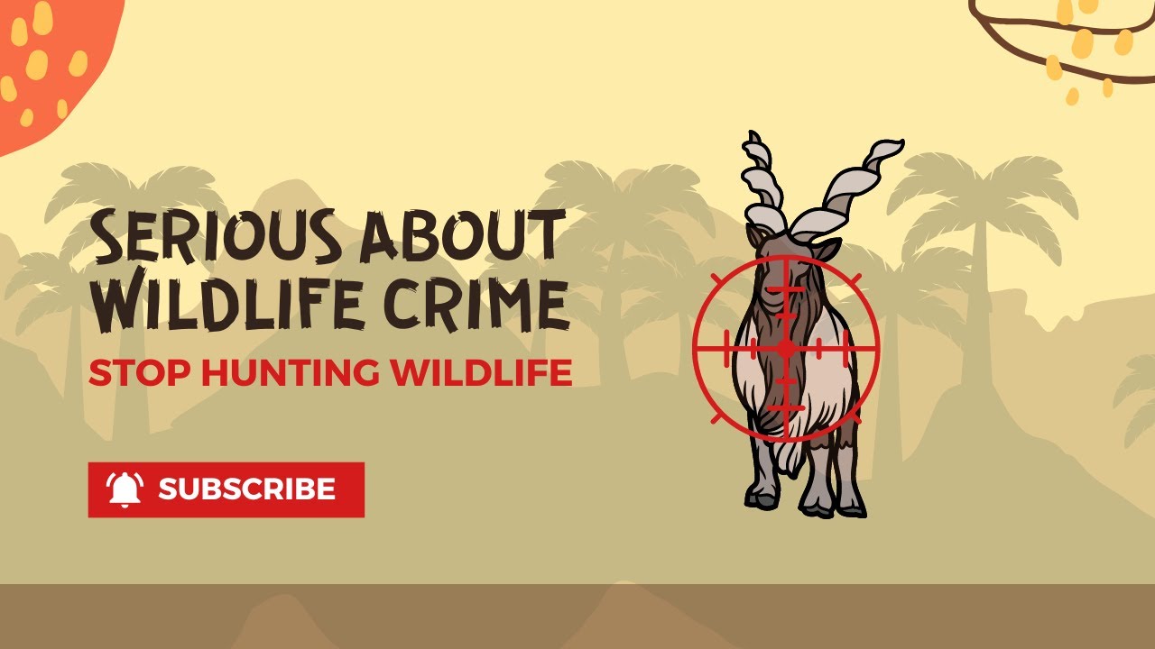 |overhunting definition|overhunting definition in science|biology ...