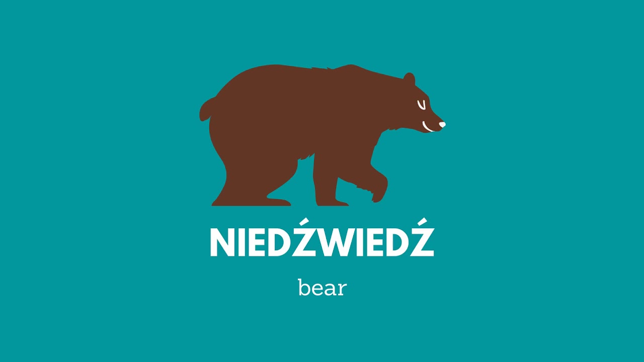 Names of Animals | Learn Polish Everyday - YouTube