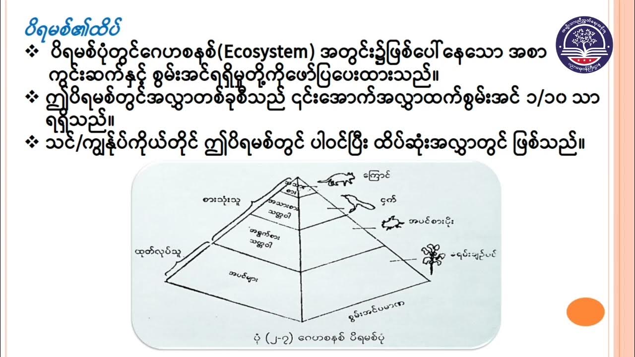 Grade 9 အထွေထွေသိပ္ပံ၊ အခန်း ၂ သက်ရှိများ ၊ အပိုင်း ၂ သဘာဝမျှတမှု G9sc Episode 3 Youtube