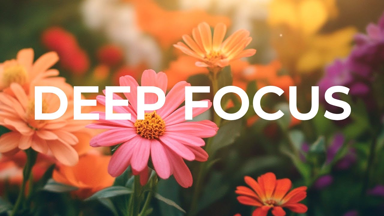 🔥 Mind Focus While You Work – Boost Concentration & Productivity ...