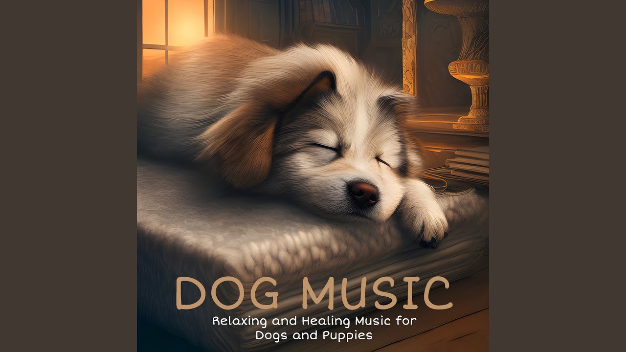 Dog Music - Relaxing and Healing Music for Dogs and Puppies (Part. 02 ...