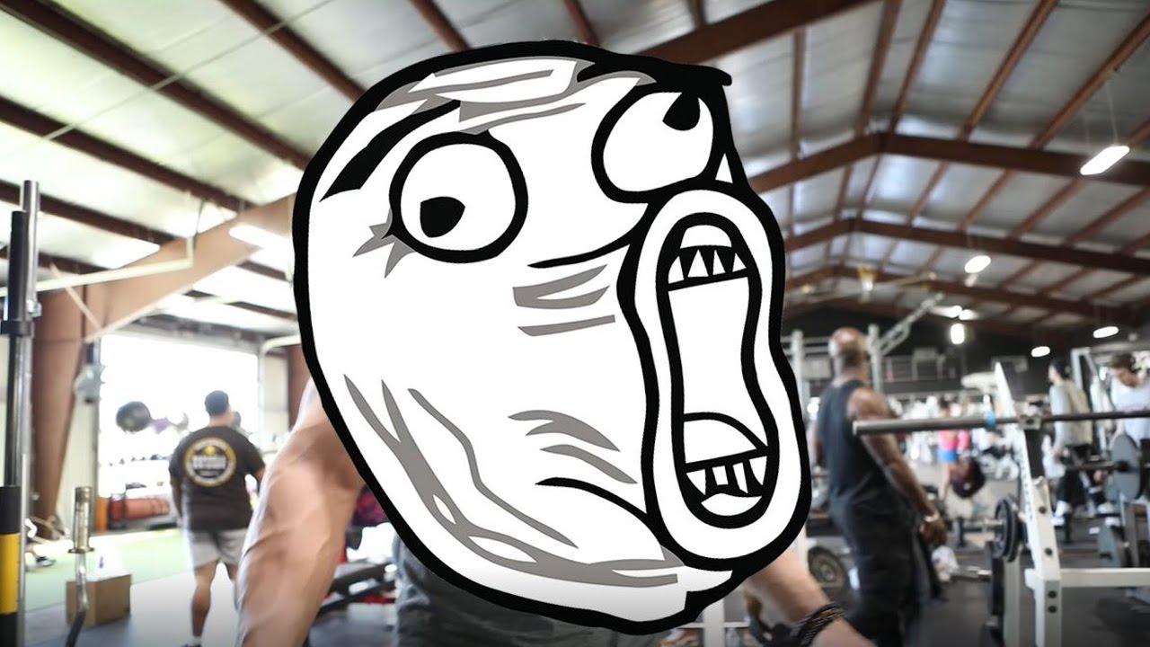 High Volume Bicep Workout | The Buff Nerd at Alphalete Gym - YouTube