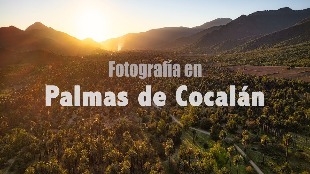 Fotografía en las Palmas de Cocalán - YouTube
