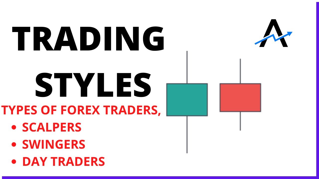 Forex Trading For Beginners: Types Of Forex Traders(Video#8) - YouTube